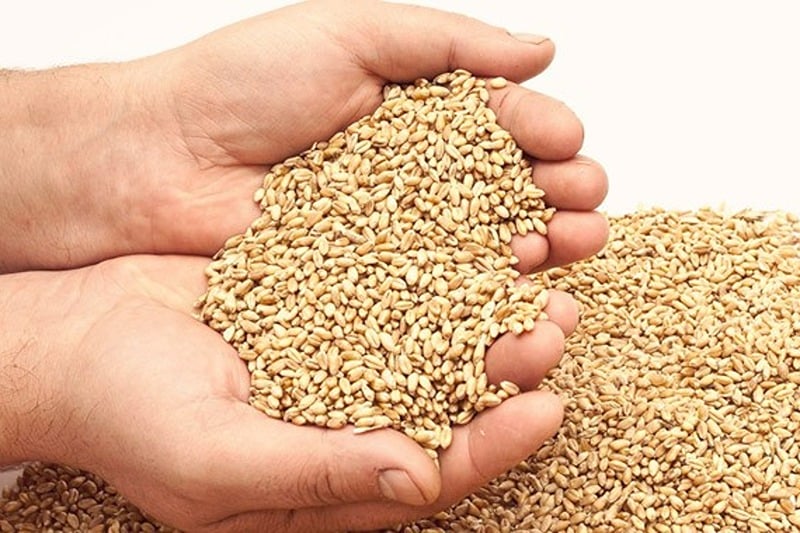 Le montant de la Zakat Al-fitr fixé à 20dh par personne - Belpresse