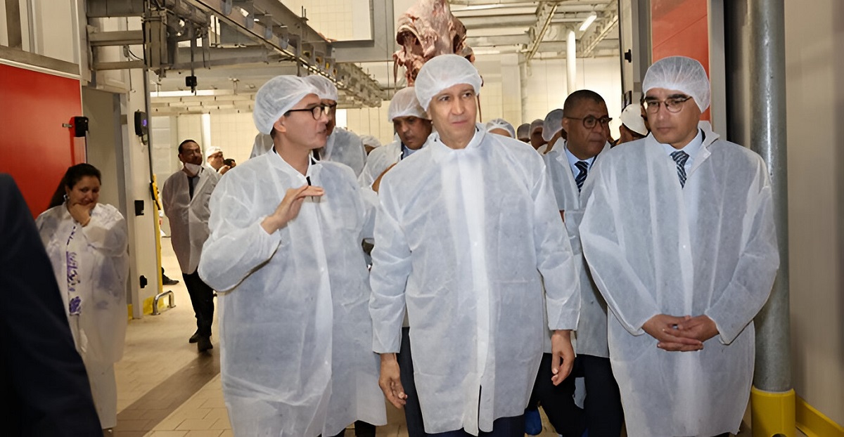 Inauguration d'un nouvel abattoir régional à Rabat, avec une capacité ...